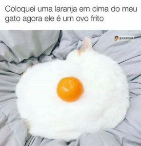 50 Memes Engraçados para Rir com Imagens e Frases Sarcasticas