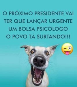 50 Memes Engraçados para Rir com Imagens e Frases Sarcasticas