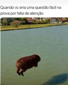 50 Memes Engraçados para Rir com Imagens e Frases Sarcasticas