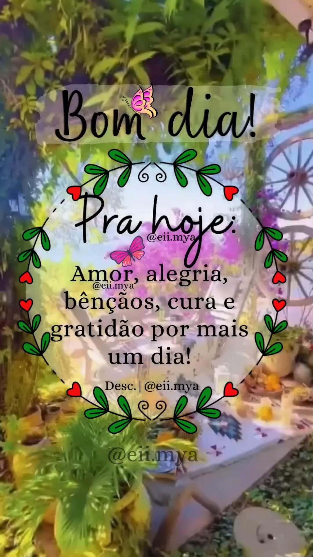 31 Frases de Bom dia com Sabedoria e muita Paz para você