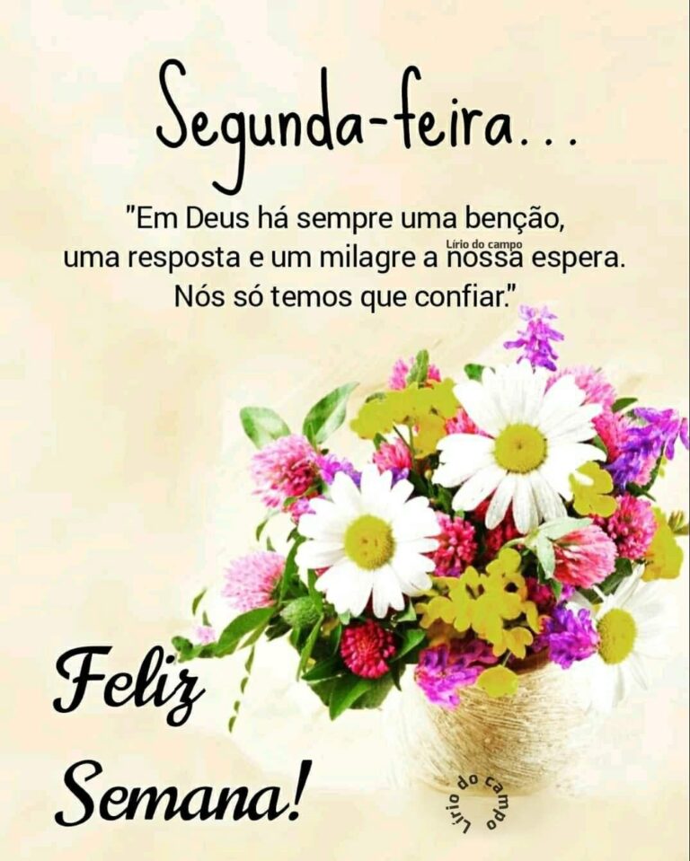 Feliz Segunda-feira e Boa Semana! Frases e Imagens para Todos
