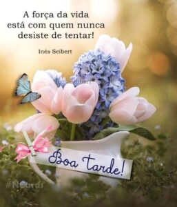50 Imagens de Boa tarde com Mensagens e Belas Flores
