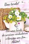 50 Imagens de Boa tarde com Mensagens e Belas Flores