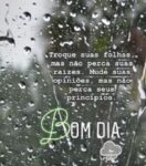Imagens e Frases Bom dia com Chuva para uma Manhã aconchegante