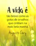 25 Mensagens inspiradoras sobre viver a vida com gratidão e amor
