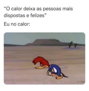 30 Memes sobre calor para rir muito durante este clima